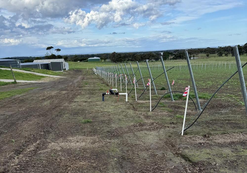 Vineyard Drip Irrigation System Bellarine Peninsula