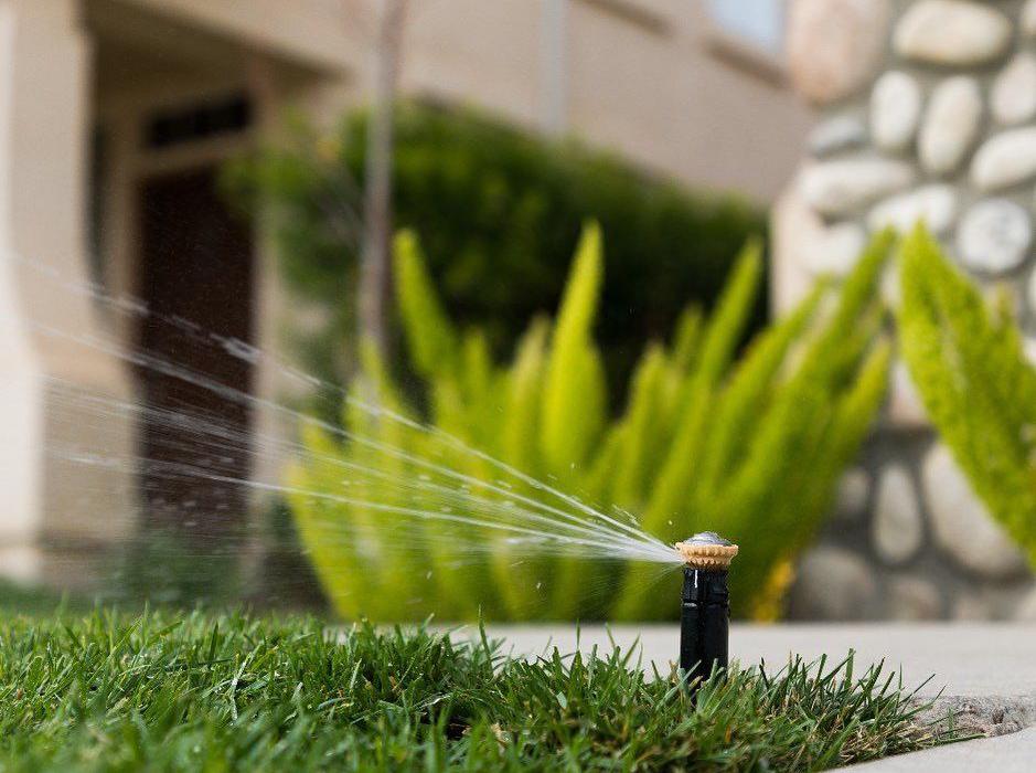 Home irrigation systems in Geelong | Barwon Irrigation